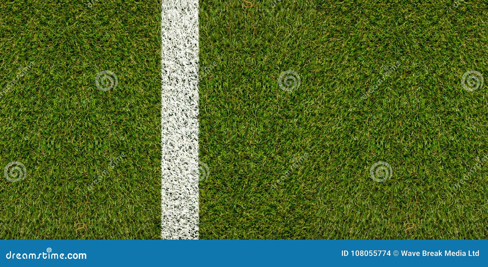Green Square White Line Vertical Stock Photo - Image of green, line ...