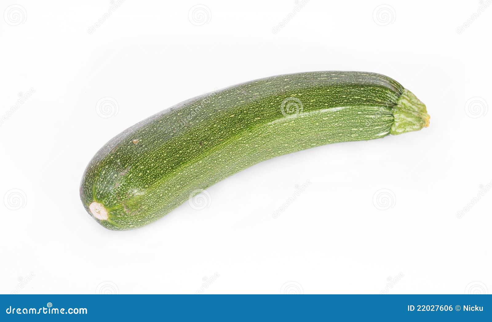 Green squash stock photo. Image of healthy, zucchini - 22027606