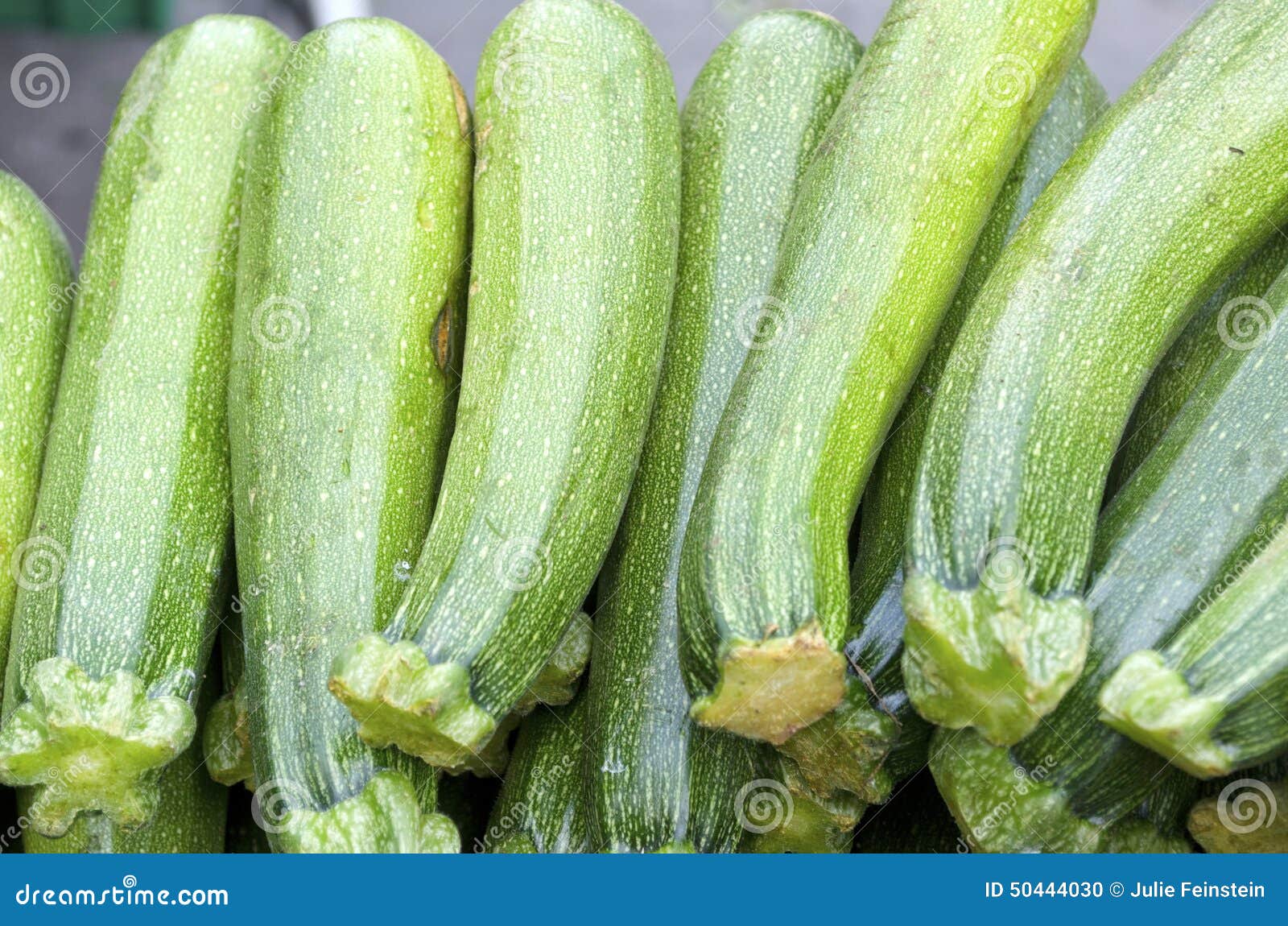 Green Squash stock photo. Image of marrow, courgette - 50444030