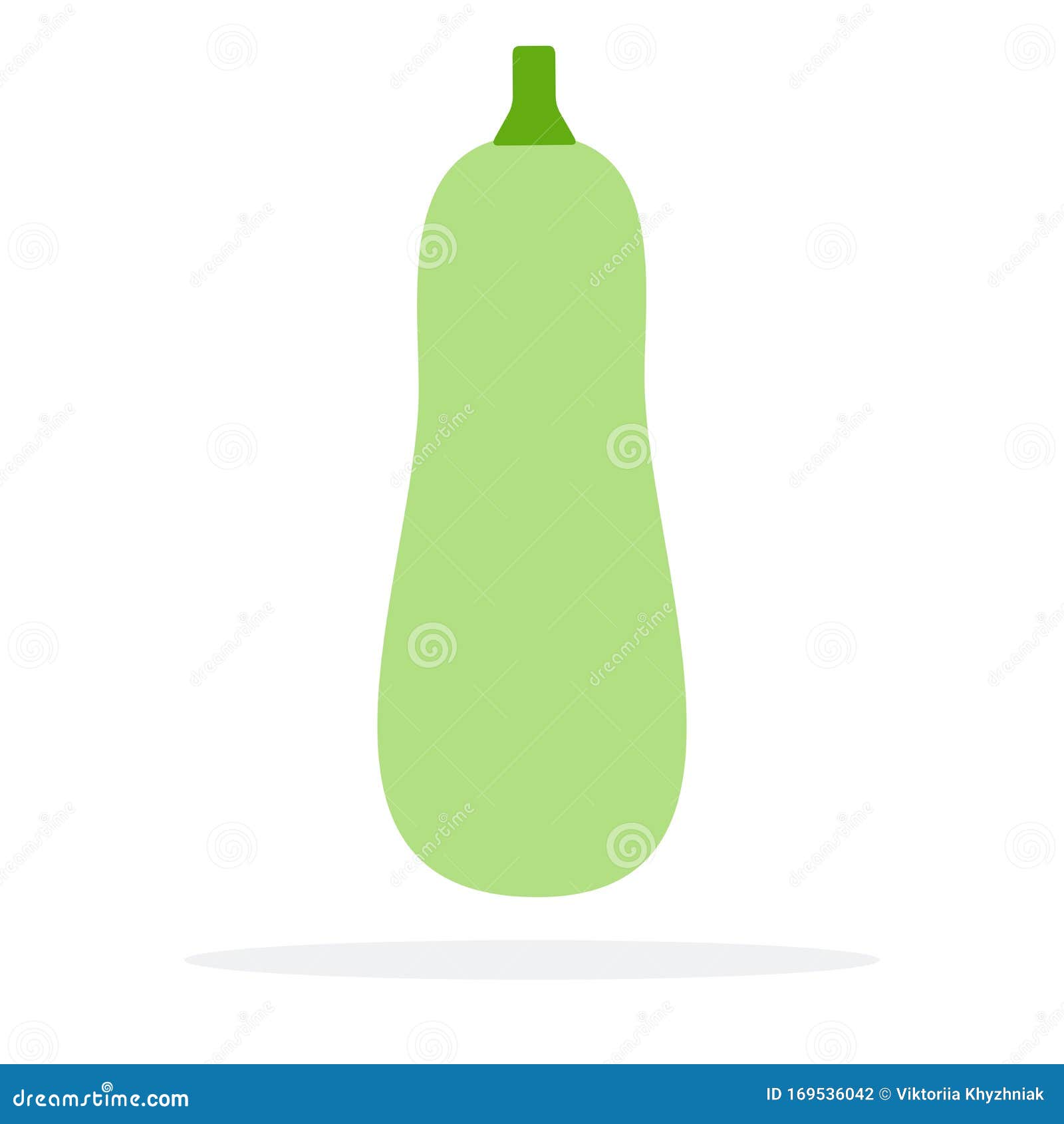 Green squash stock vector. Illustration of cook, market - 169536042