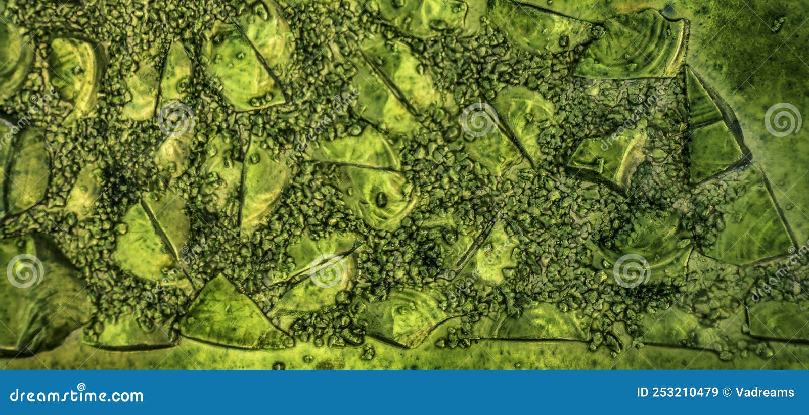 Green Stained Glass Window Texture Background Stock Image - Image of ...