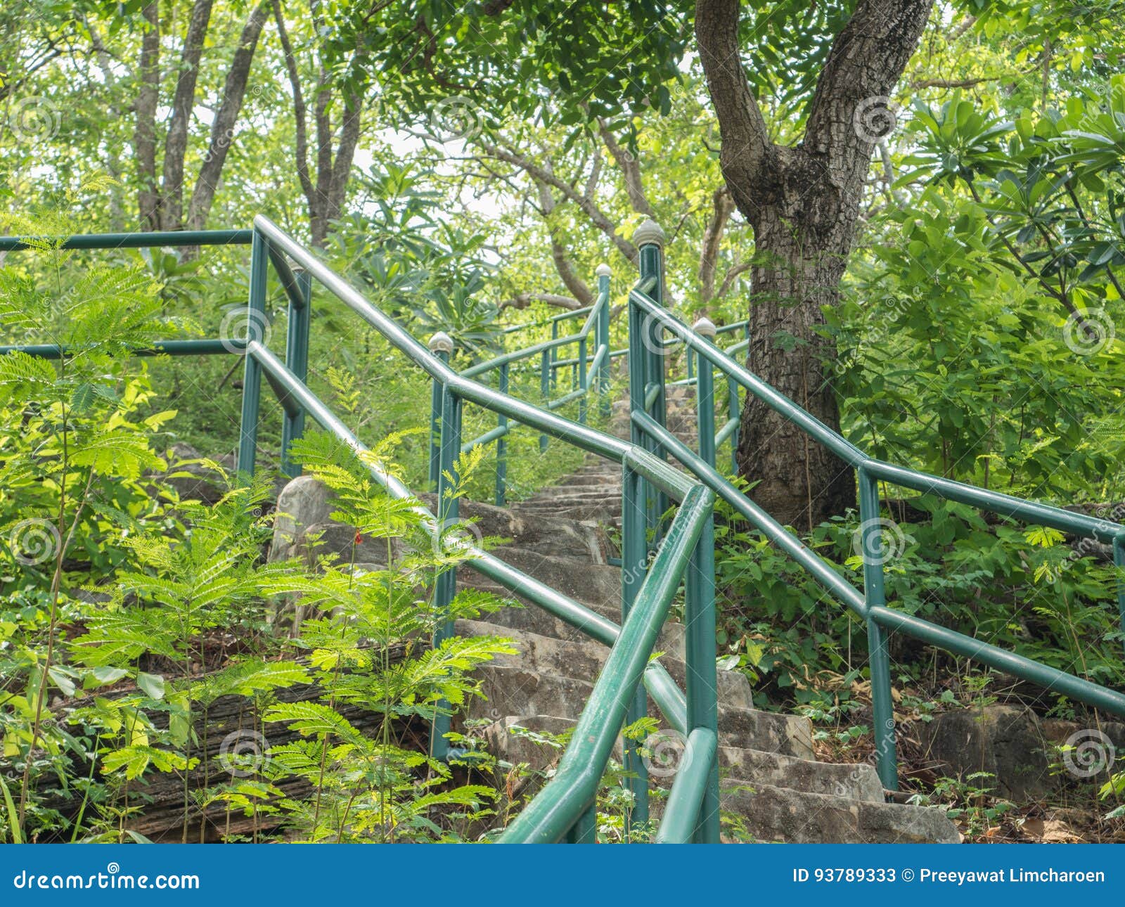 Green staircase stock image. Image of seoul, garden, outdoor - 93789333