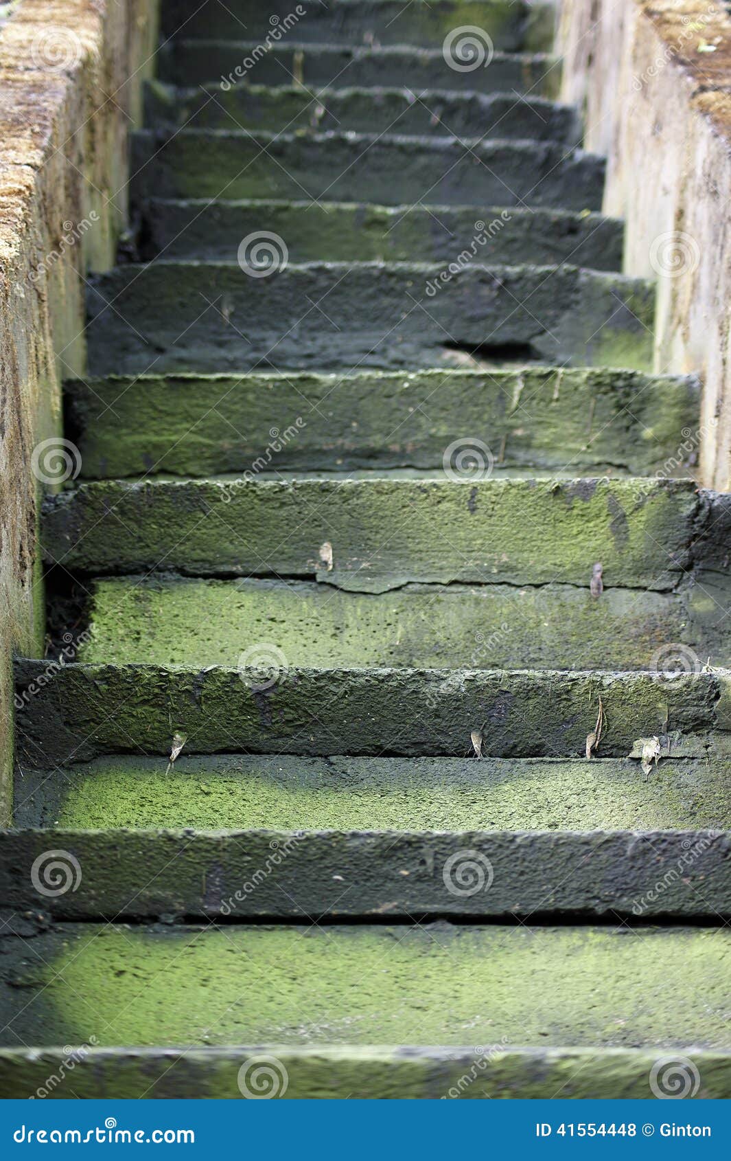 Green stairs stock photo. Image of steep, landscape, close - 41554448
