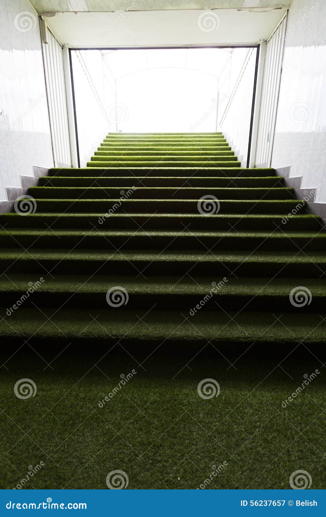 Green stairs at a stadium stock image. Image of stadium - 56237657