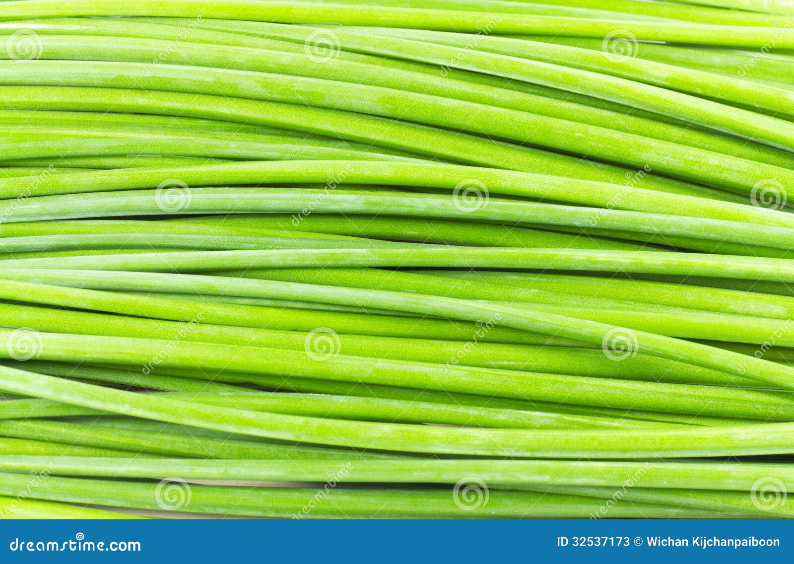 Green stalk stock image. Image of food, single, vegetable - 32537173