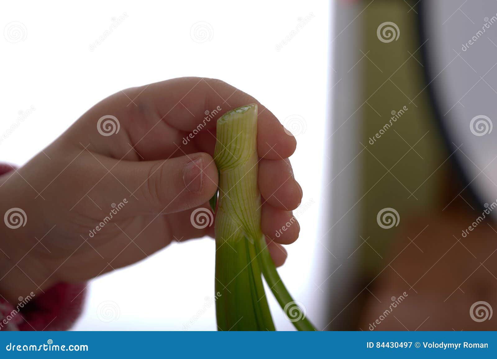 Green Stalks of Onions in White Stock Image - Image of background ...