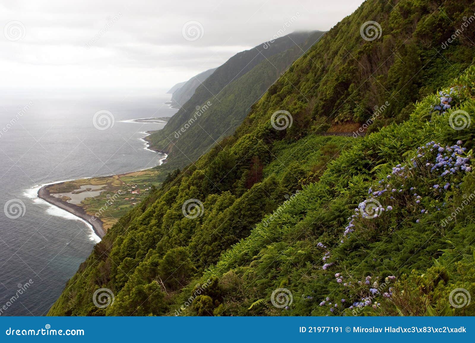 Green steep with coast stock image. Image of cliff, azores - 21977191