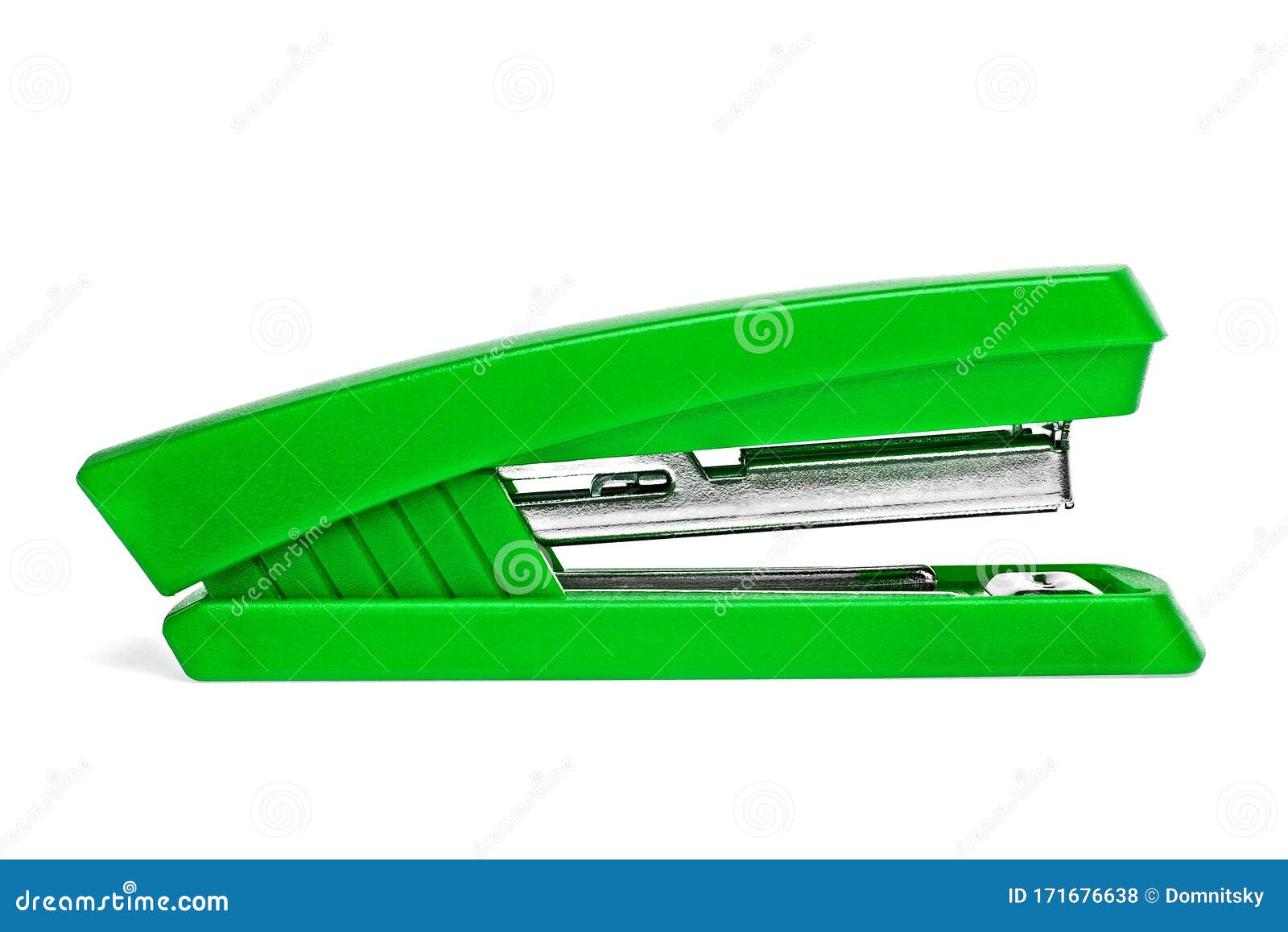 Green Stepler Photos - Free & Royalty-Free Stock Photos from Dreamstime