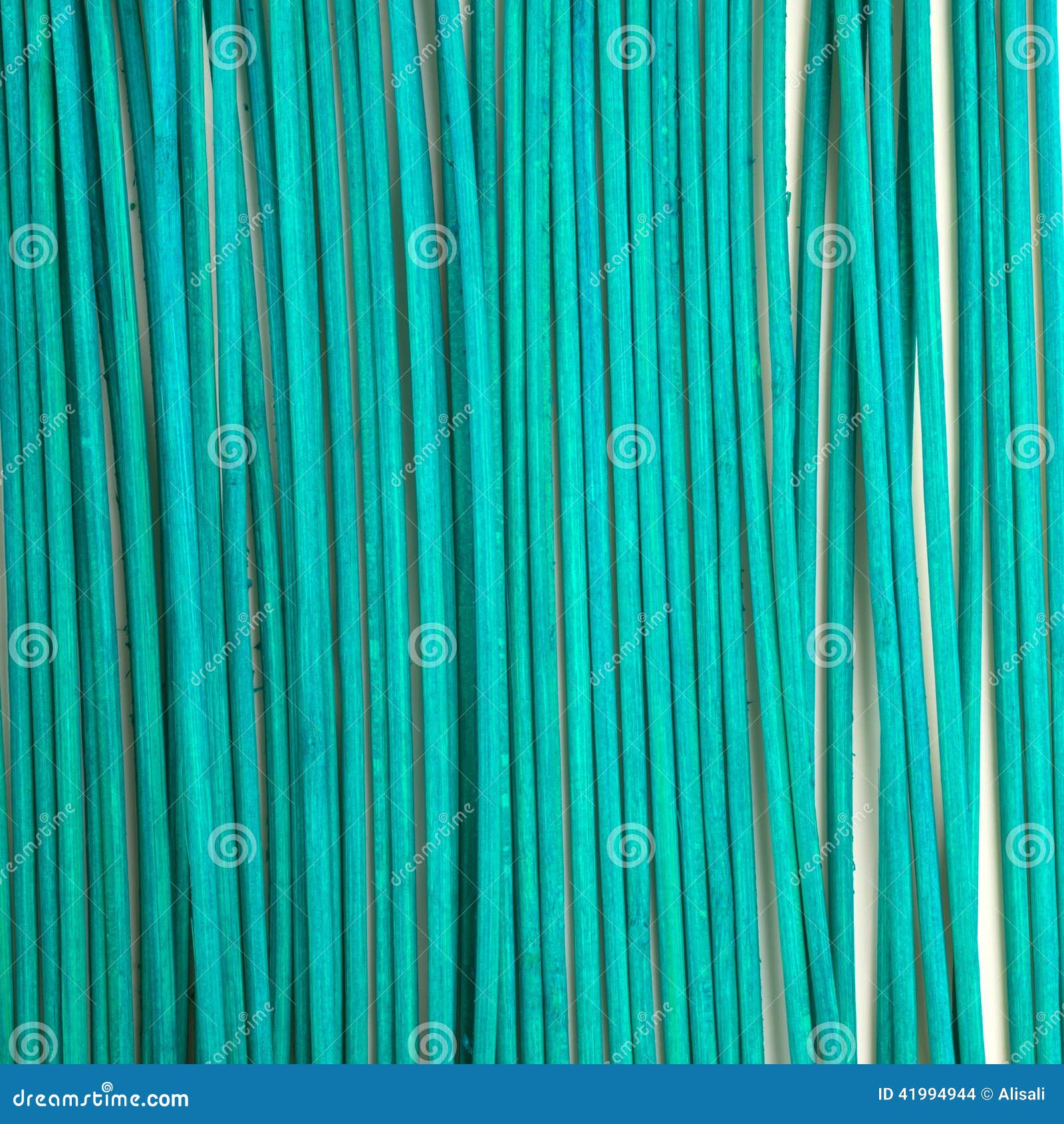 Green Stick Bug Aka Ramulus Artemis,aka Vietnamese Stick Insect Royalty ...