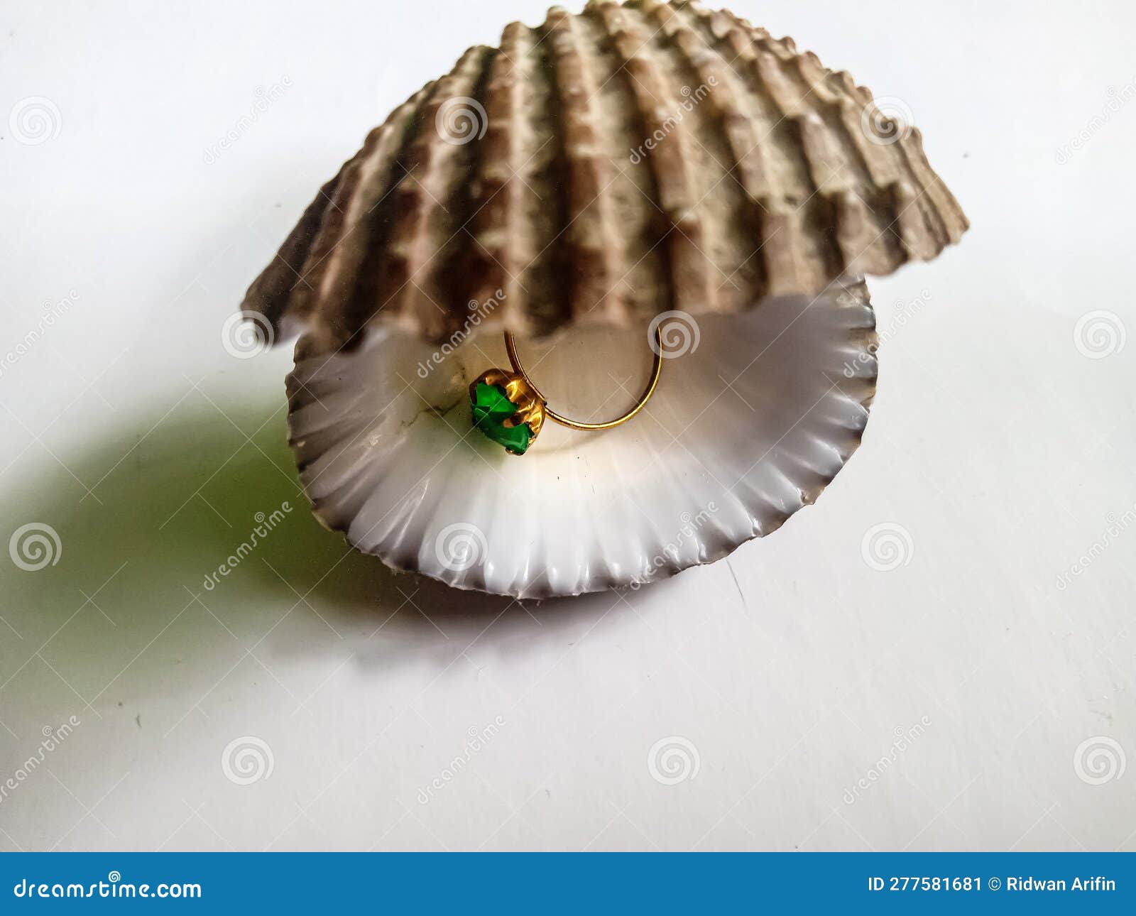 A Green Stone Ring Inside a Shell Stock Image - Image of luxury, jewel ...