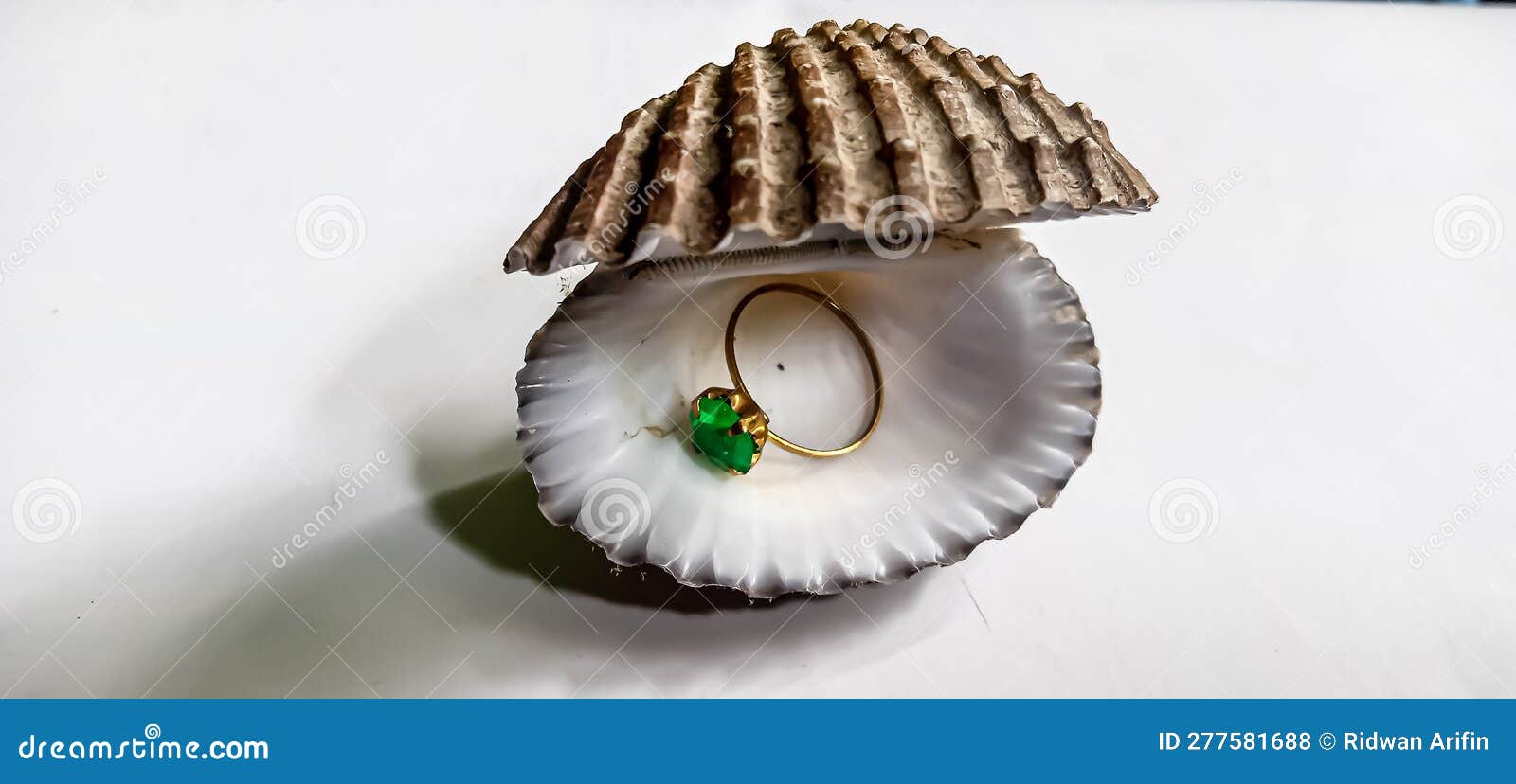A Green Stone Ring Inside a Shell Stock Photo - Image of valuable ...