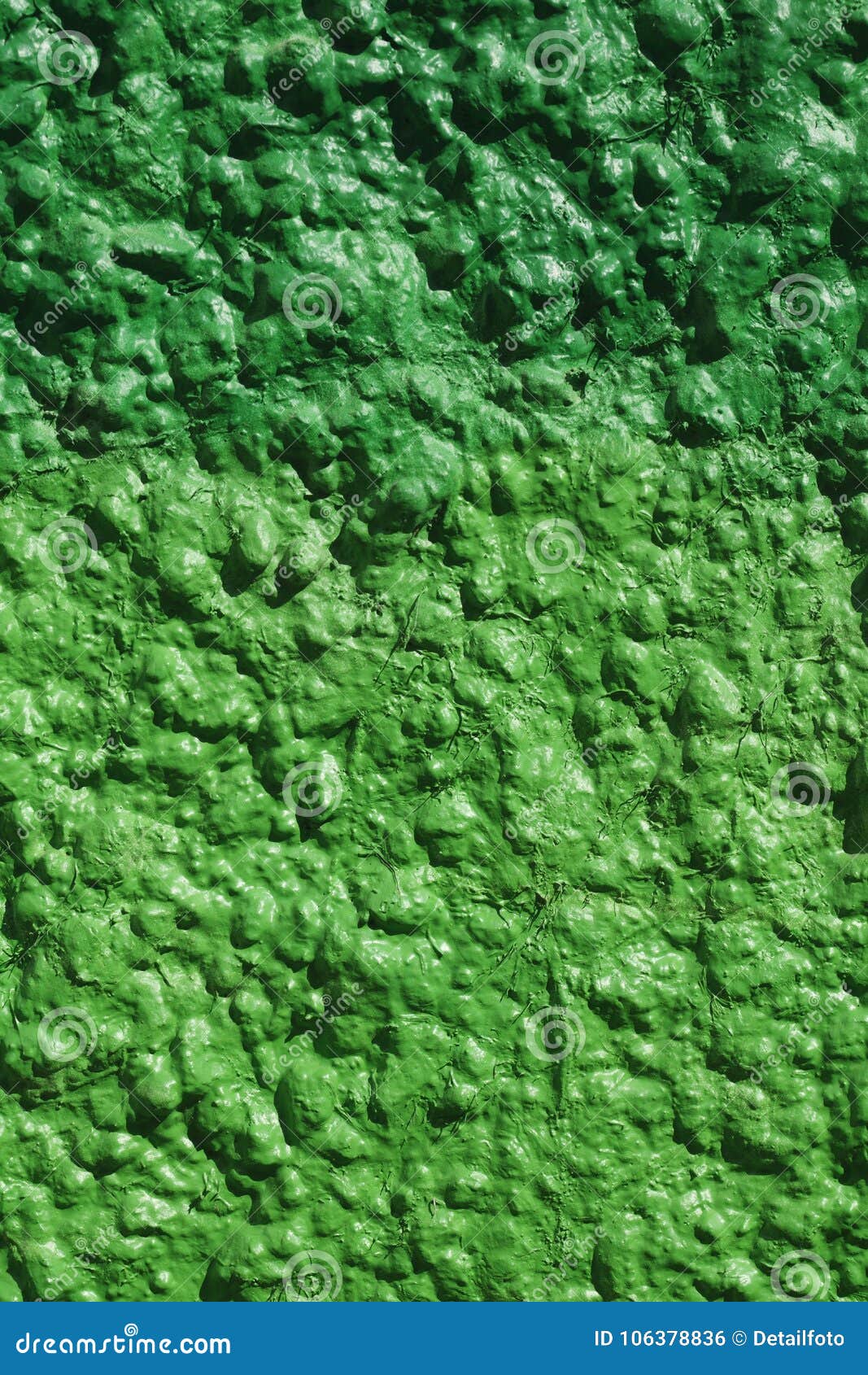 Green Stone Wall stock photo. Image of texture, colorful - 106378836
