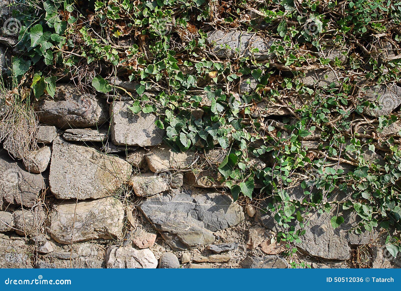 Green stone wall stock photo. Image of stone, nature - 50512036