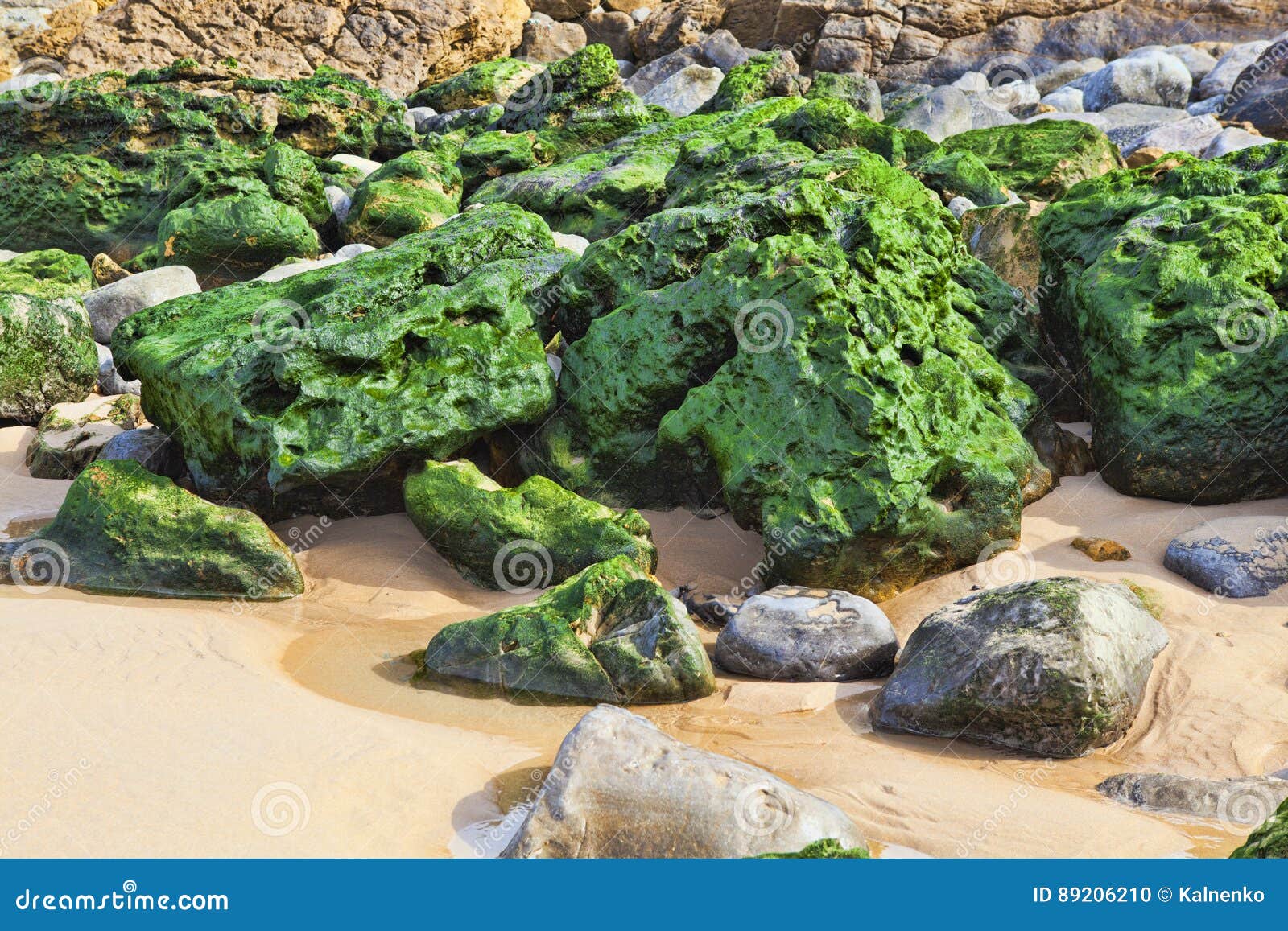 Green stones stock photo. Image of colors, beach, shore - 89206210