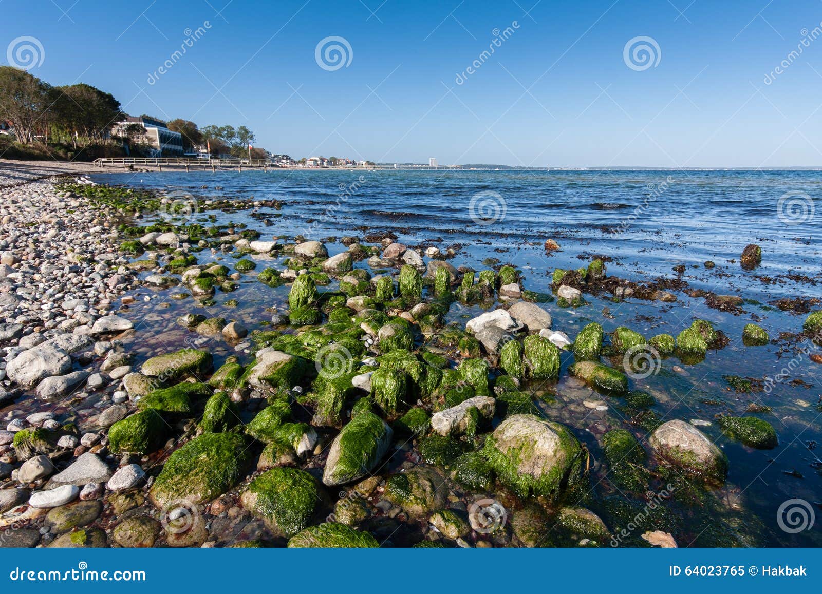 Green Stones stock image. Image of seascape, rock, stoney - 64023765