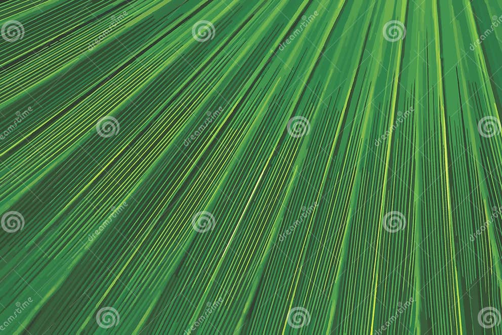 Green Straight Lines As Background Stock Illustration - Illustration of ...