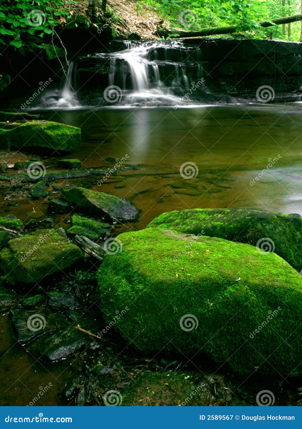 Green Stream stock image. Image of moss, woods, creek - 2589567