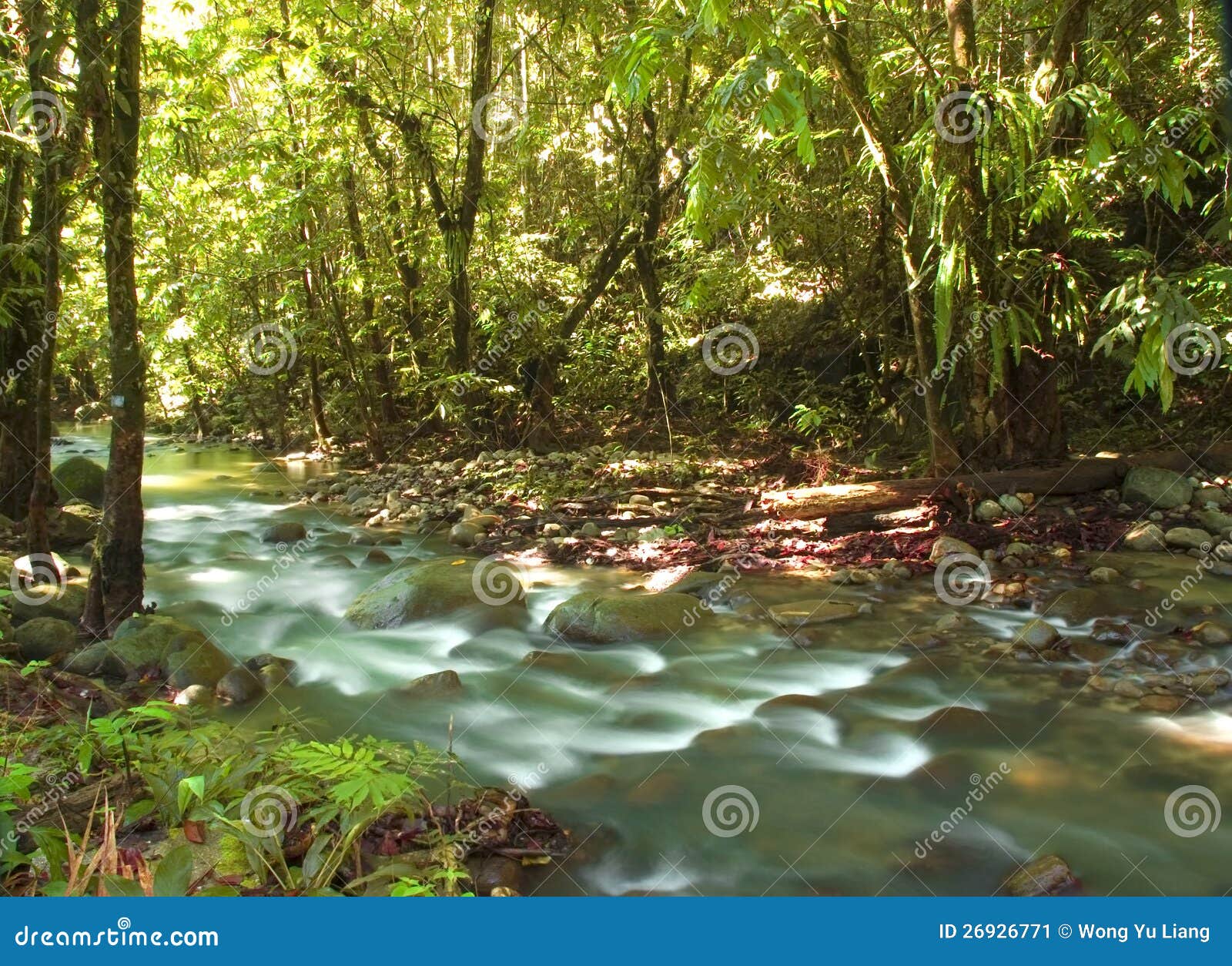 Green stream stock image. Image of flowing, exposure - 26926771