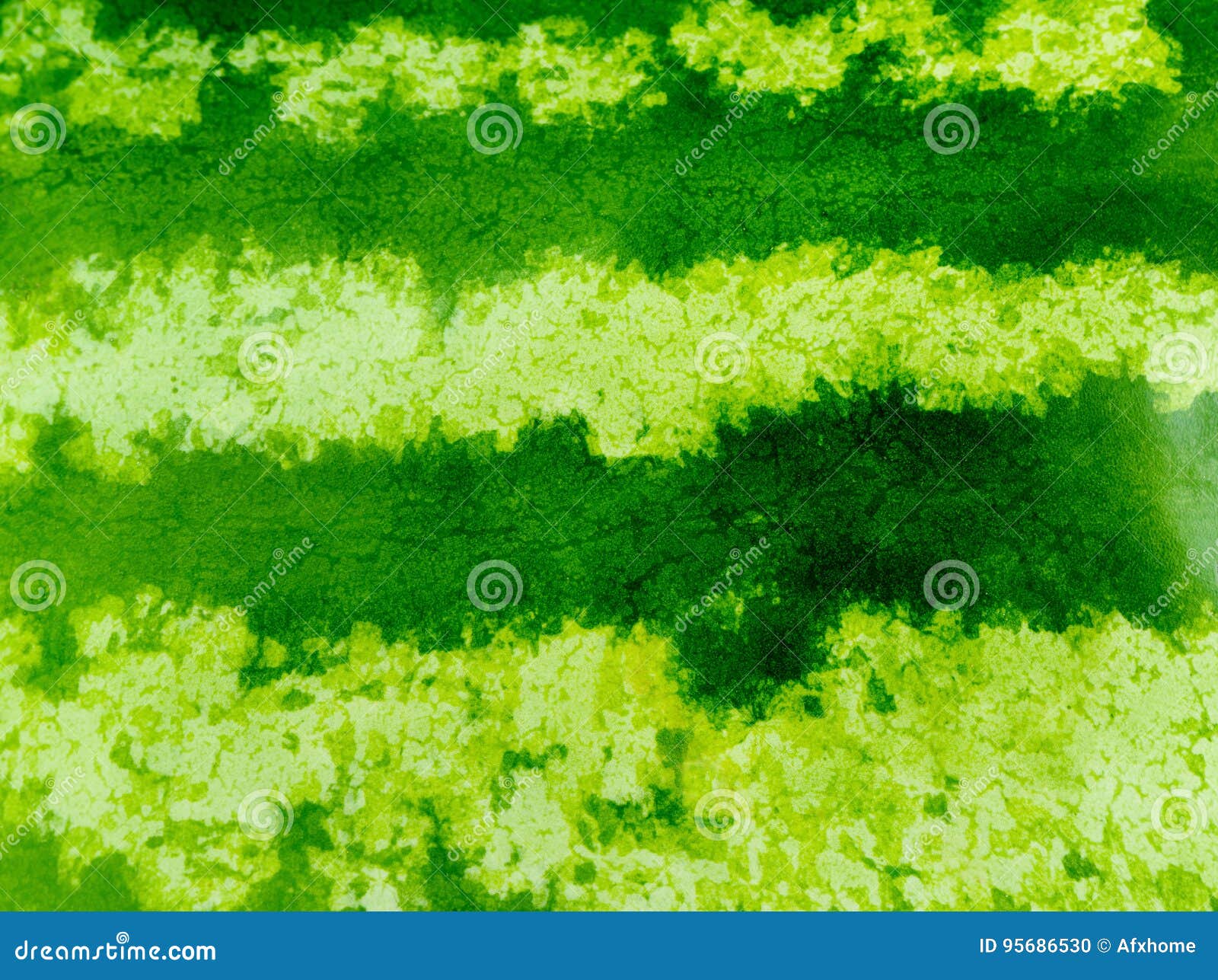Green Striped Texture of the Watermelon Stock Photo - Image of organic ...
