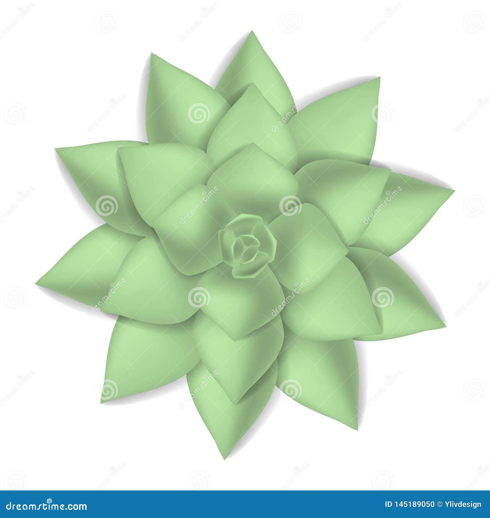 Green Succulent Icon, Realistic Style Stock Vector - Illustration of ...