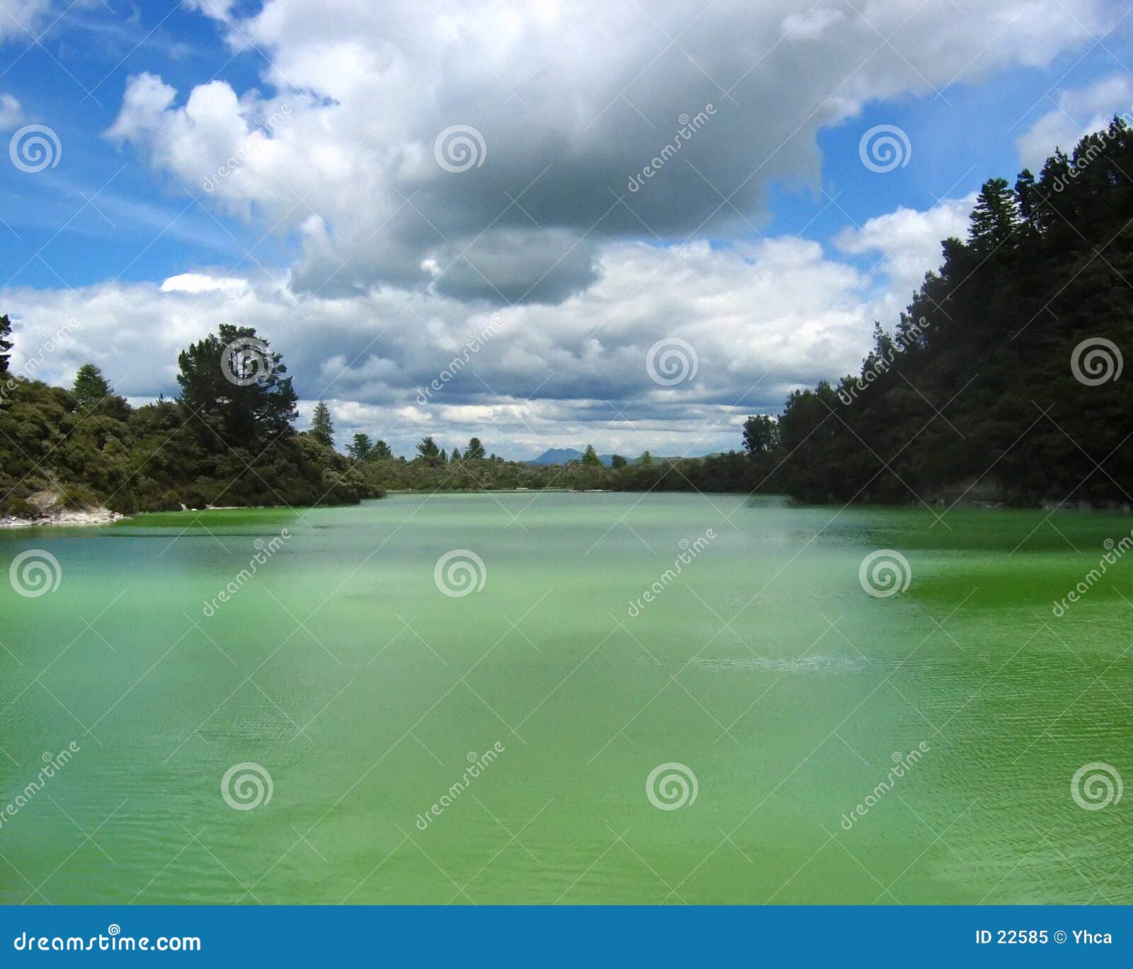 Green sulphur lake Rotorua stock image. Image of outdoor - 22585