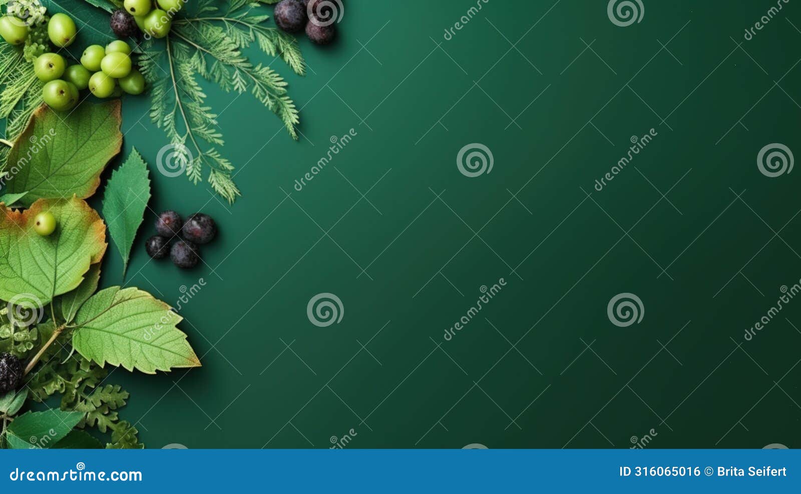 Green Summer Background Decorated with Leaves and Berries, Copy Space ...