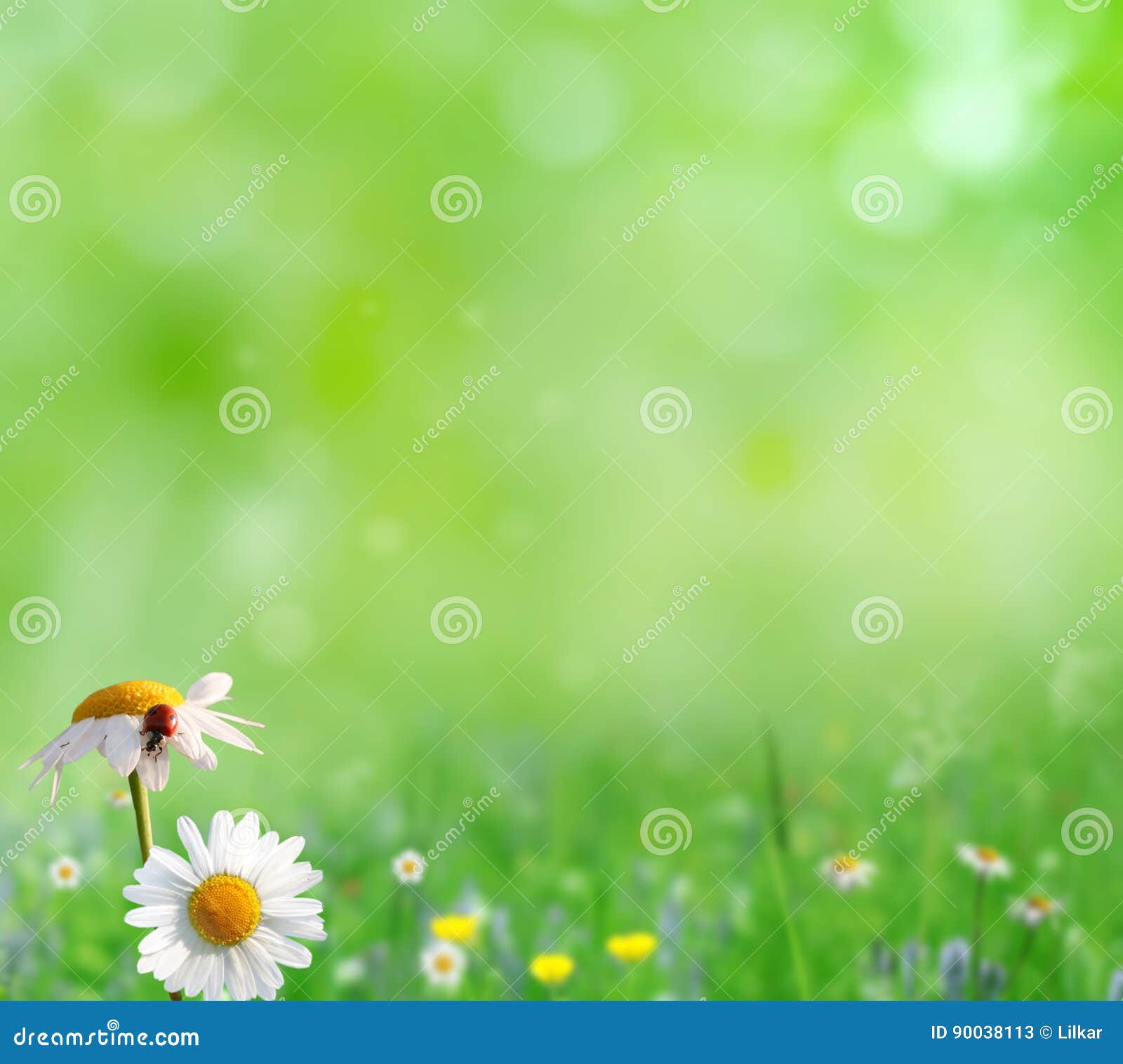 Green summer background stock image. Image of foliage - 90038113