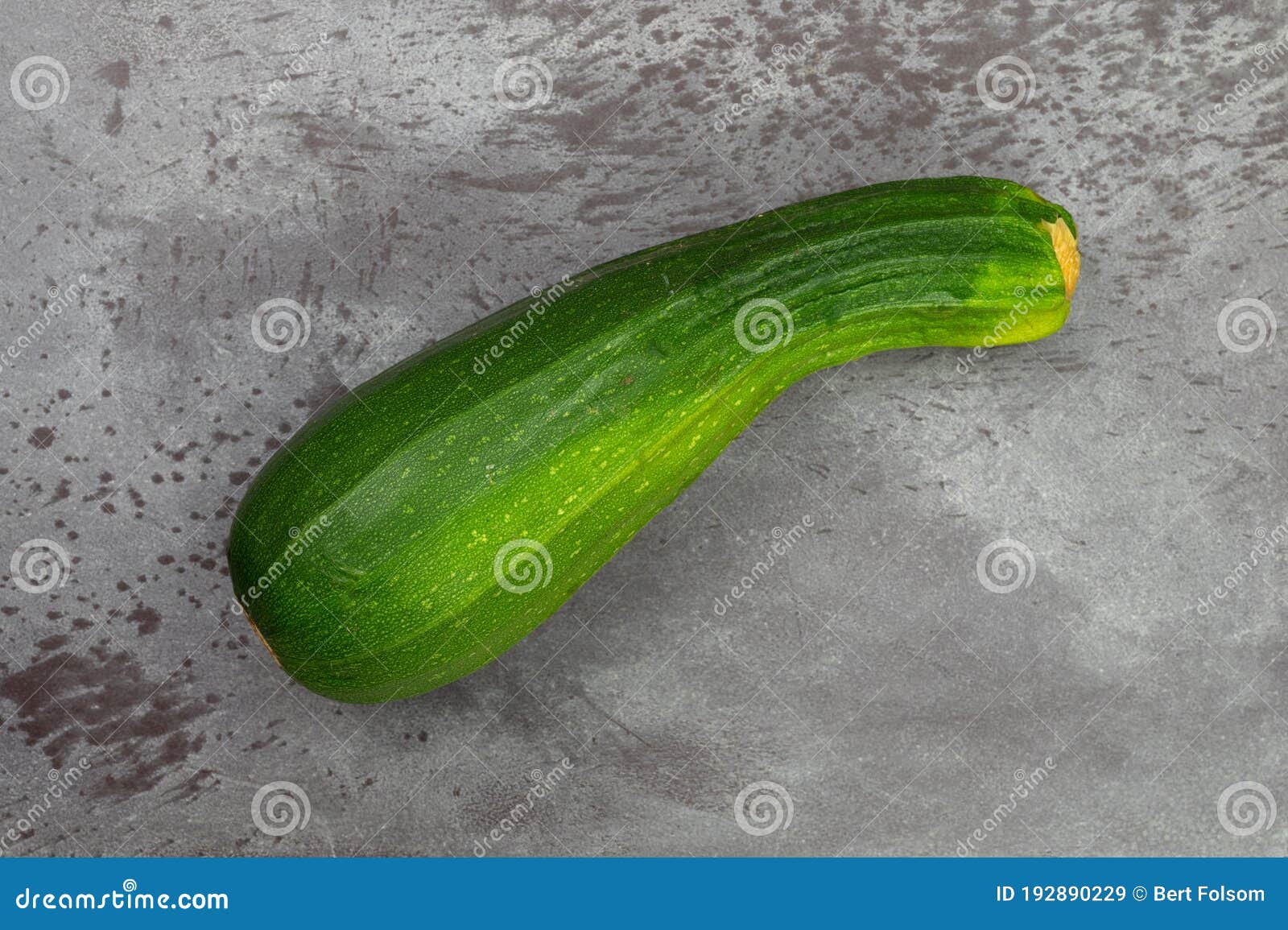 Green Summer Squash on a Gray Tabletop Stock Image - Image of mottled ...
