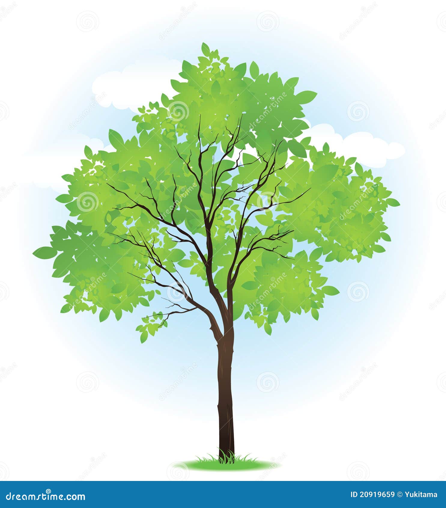 Green summer tree stock vector. Illustration of seasonal - 20919659