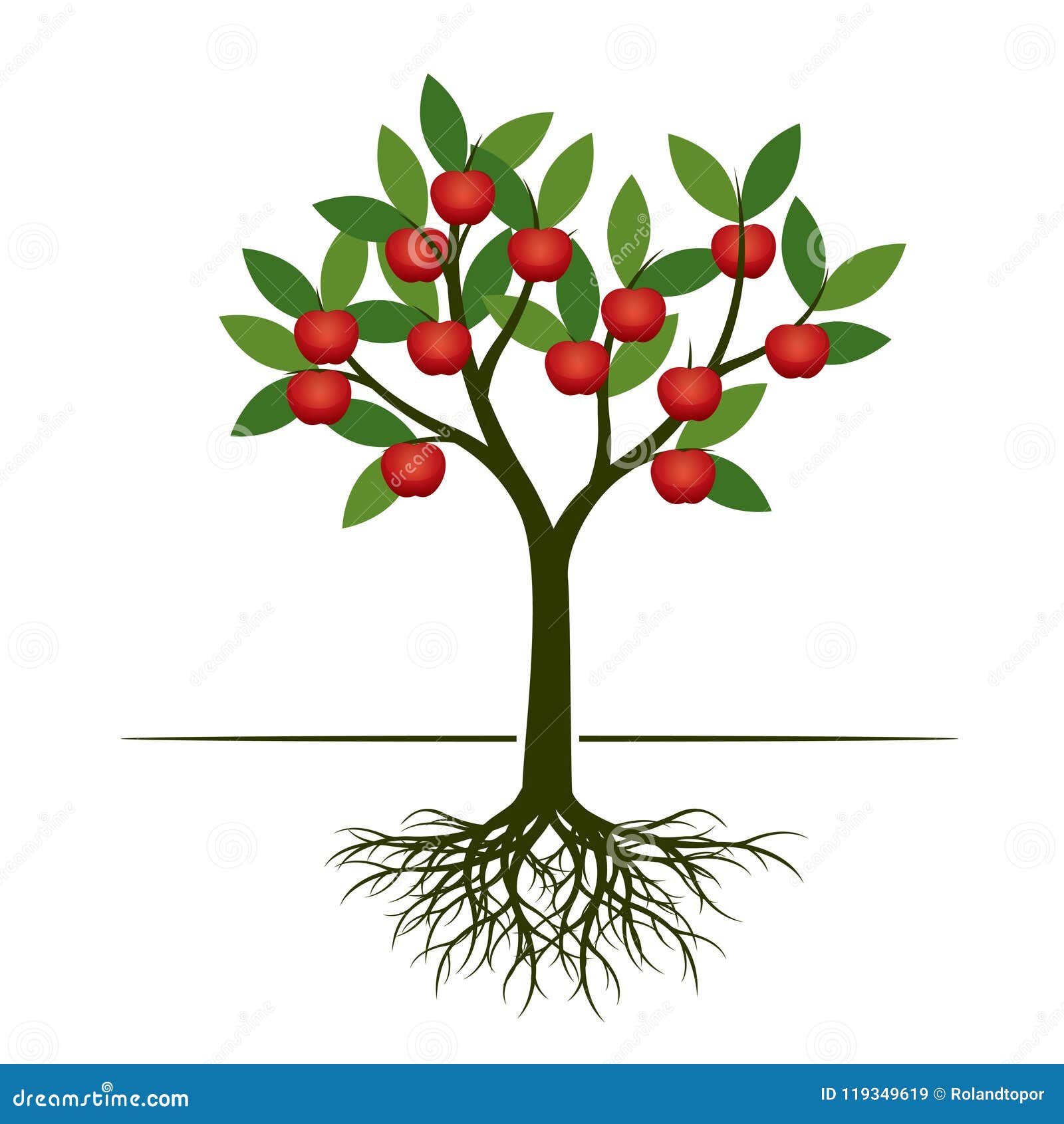 Green Summer Tree with Red Apple and Root. Vector Illustration Stock ...