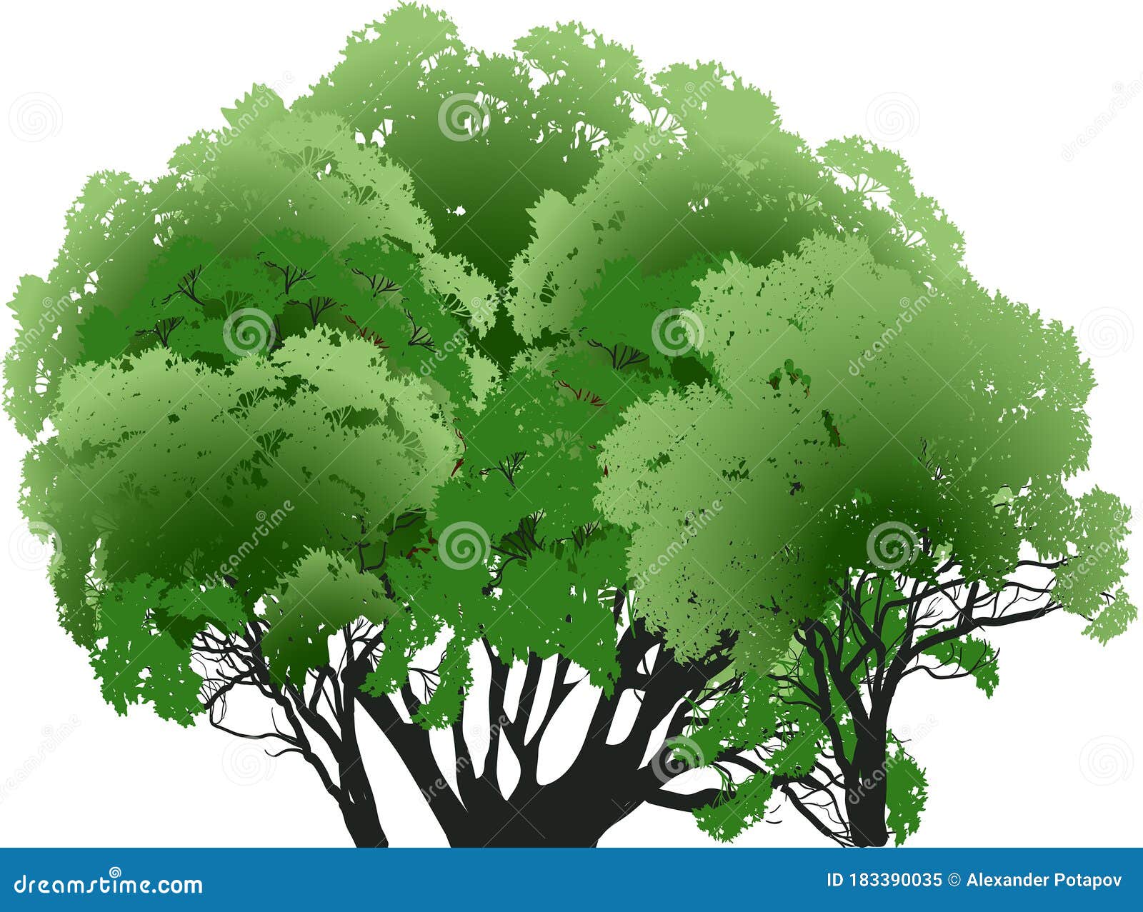 Green Summer Trees Group Illustration Stock Vector - Illustration of ...