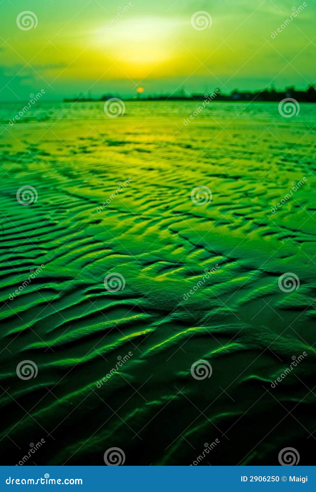 Green sunset stock photo. Image of serene, landscape, sundown - 2906250