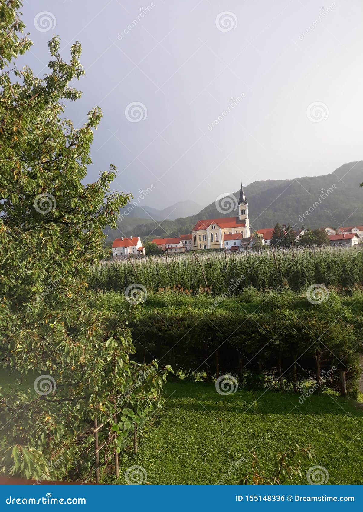 Suny Country Side View Stock Photos - Free & Royalty-Free Stock Photos ...