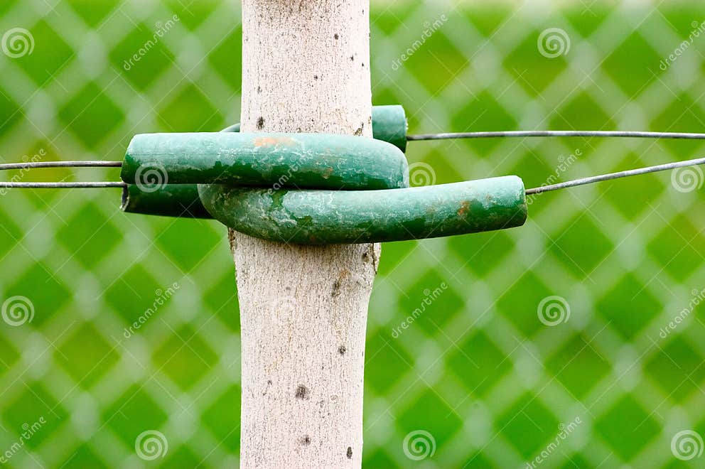 Green Support stock photo. Image of detail, support, tree - 2629186