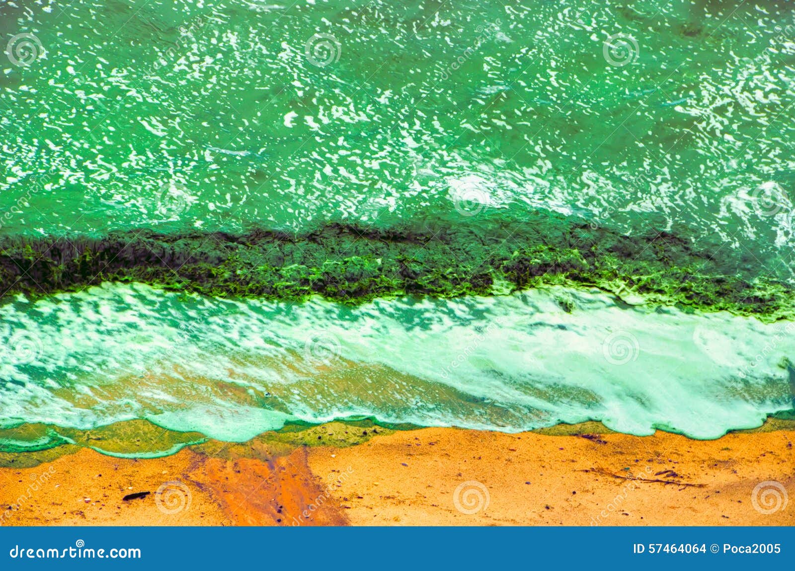 Green Surf on Sand Seaweed Waves Stock Photo - Image of foam, abstract ...