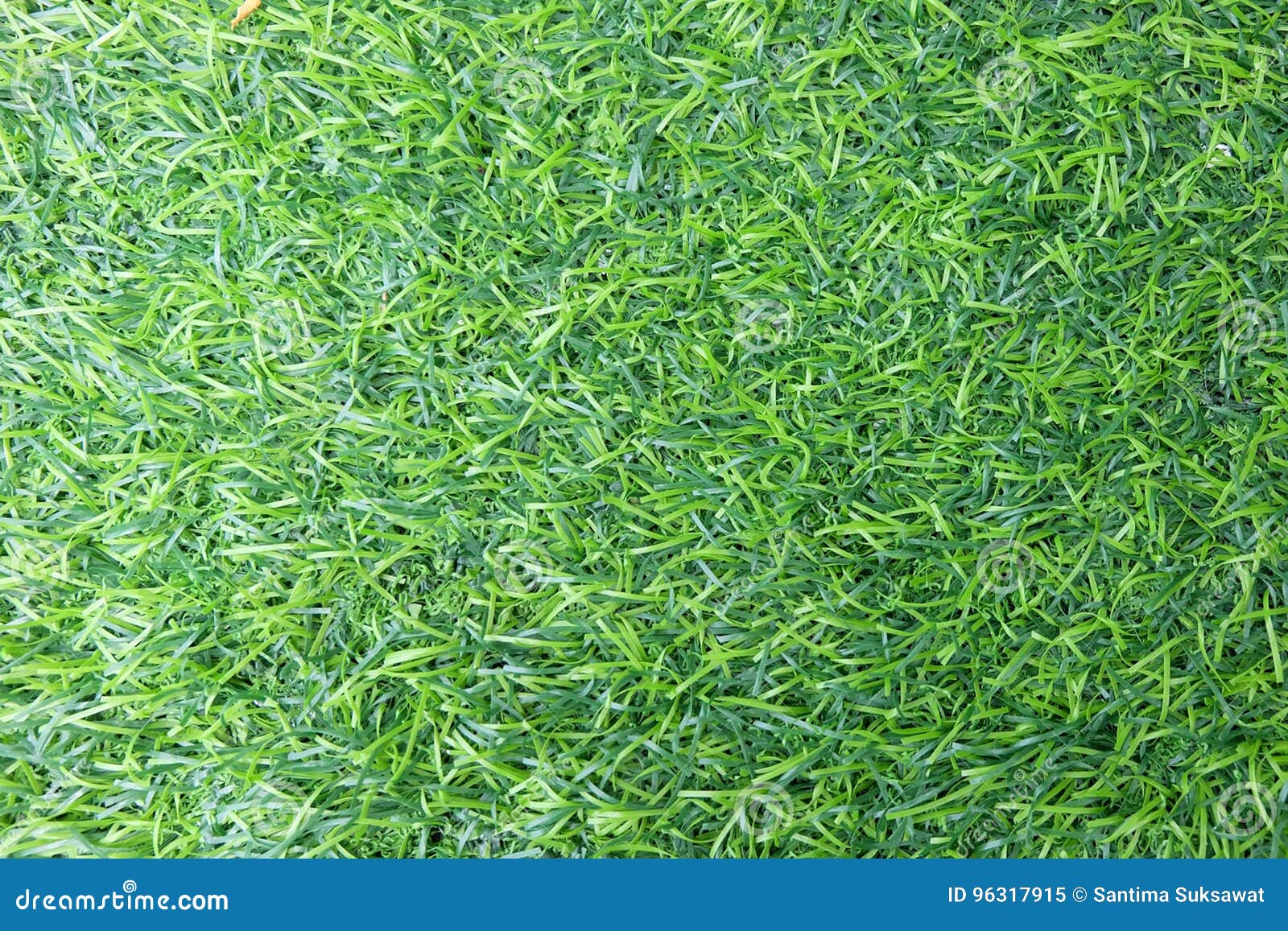 Green Surface of Grass Background, Green Sward Wallpaper Stock Image ...