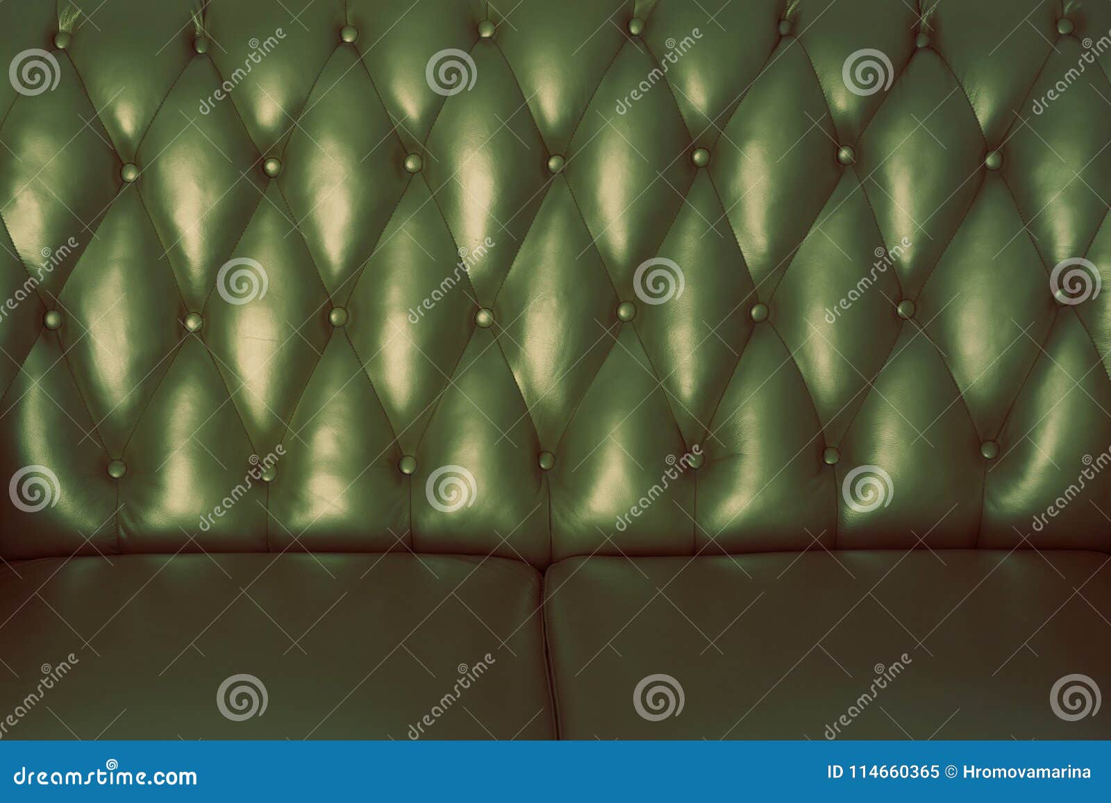 The Green Surface of the Leather Back of Sofa. Stock Image - Image of ...
