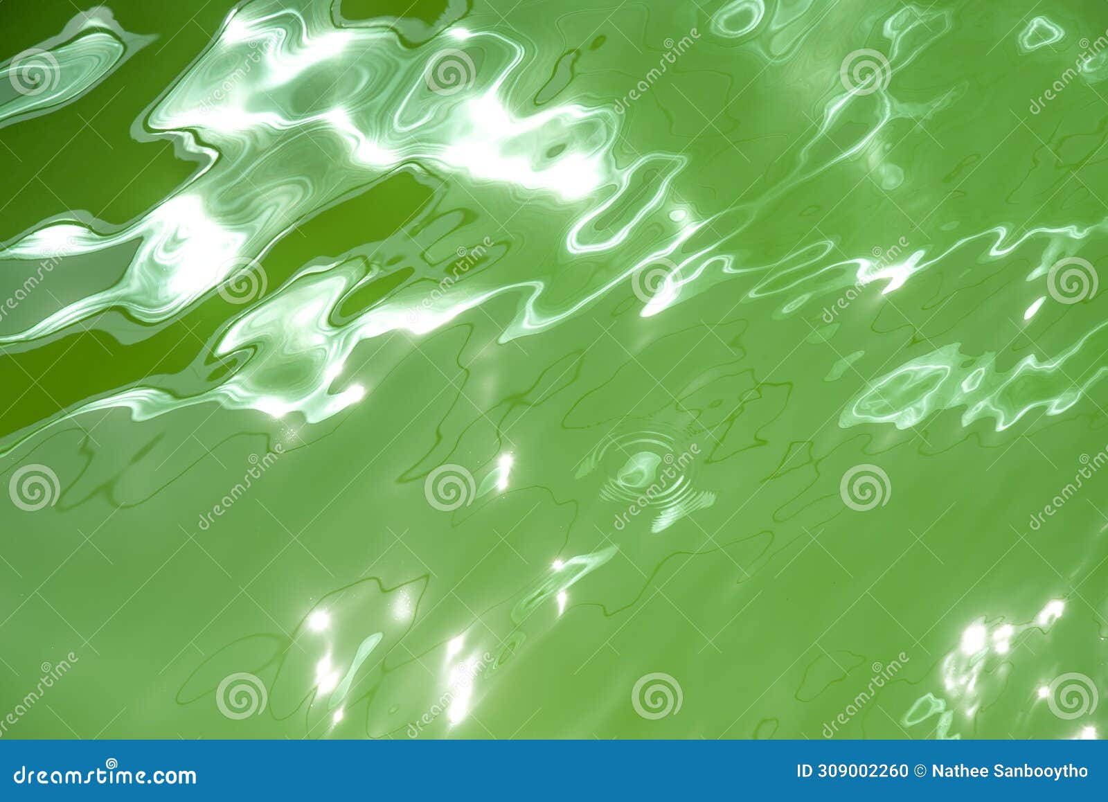 Green Surface of Water in Swimming Pool with Gentle Ripples. Stock ...