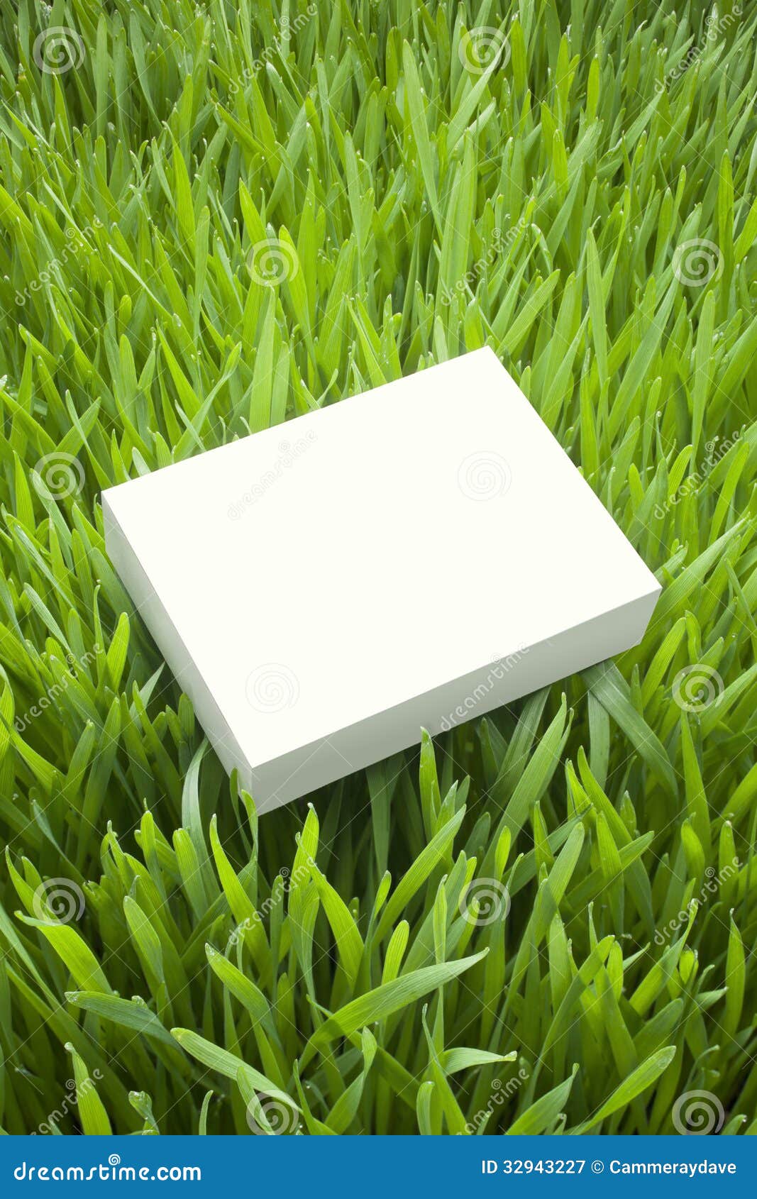 Green Sustainable Product Box Stock Image - Image of issue, brand: 32943227