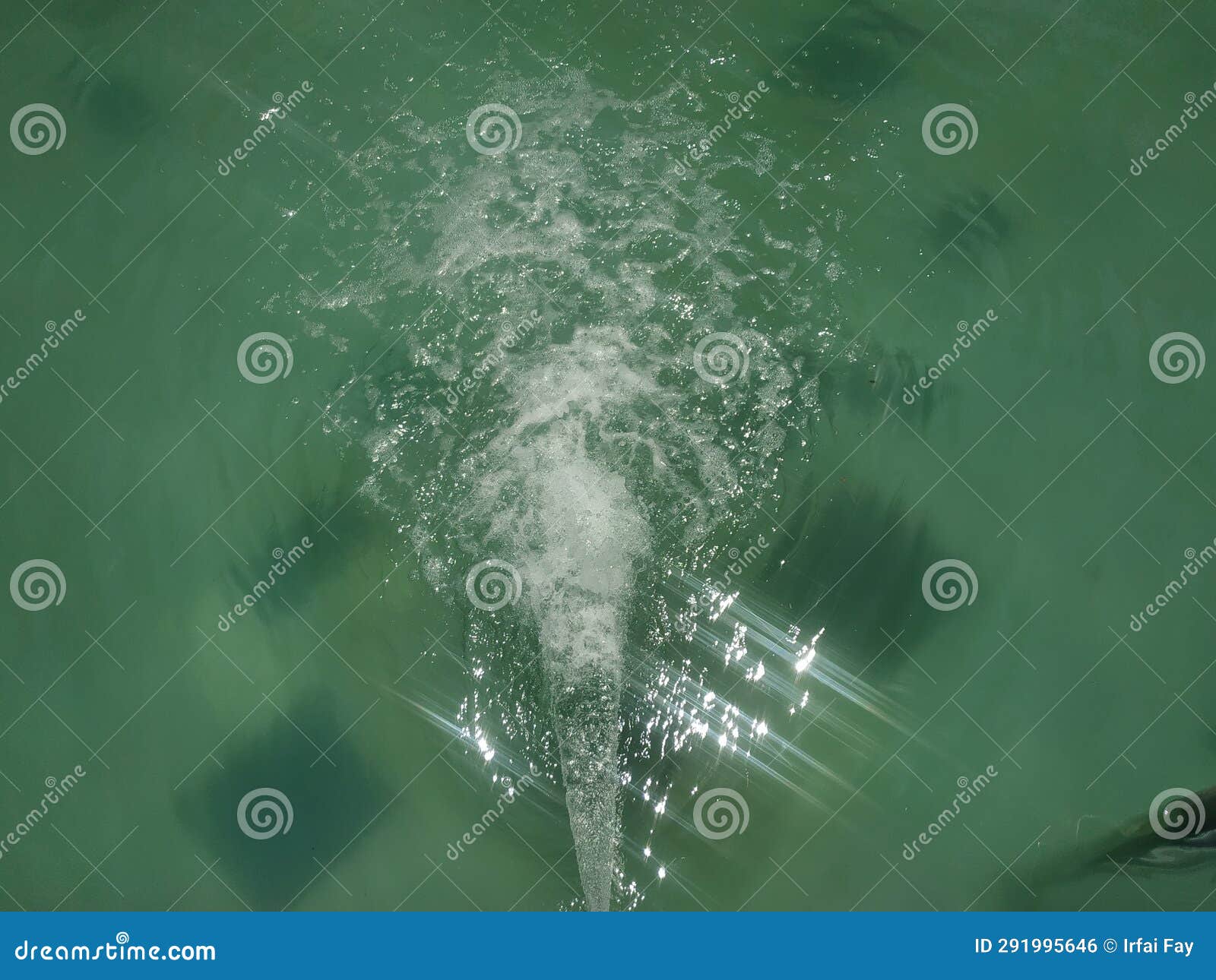 Green Swimming Pool Water Reflects Light from the Sun Stock Photo ...