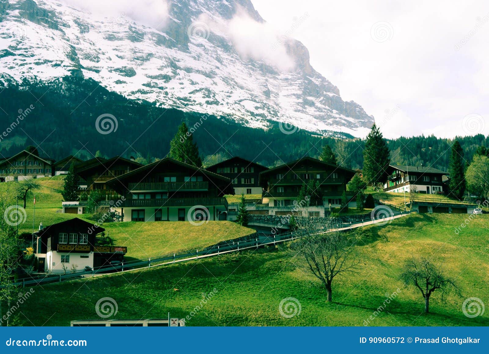 Green swiss alps stock photo. Image of valley, alps, green - 90960572