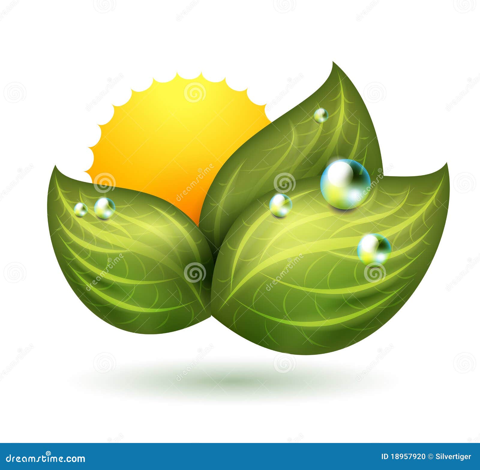 Green 3d Symbol Of 125 Number Icon On Green Background Royalty-Free ...