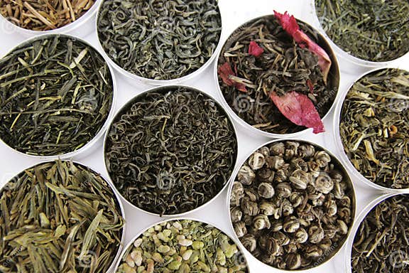 Green tea stock image. Image of matcha, chinese, bush - 14108873