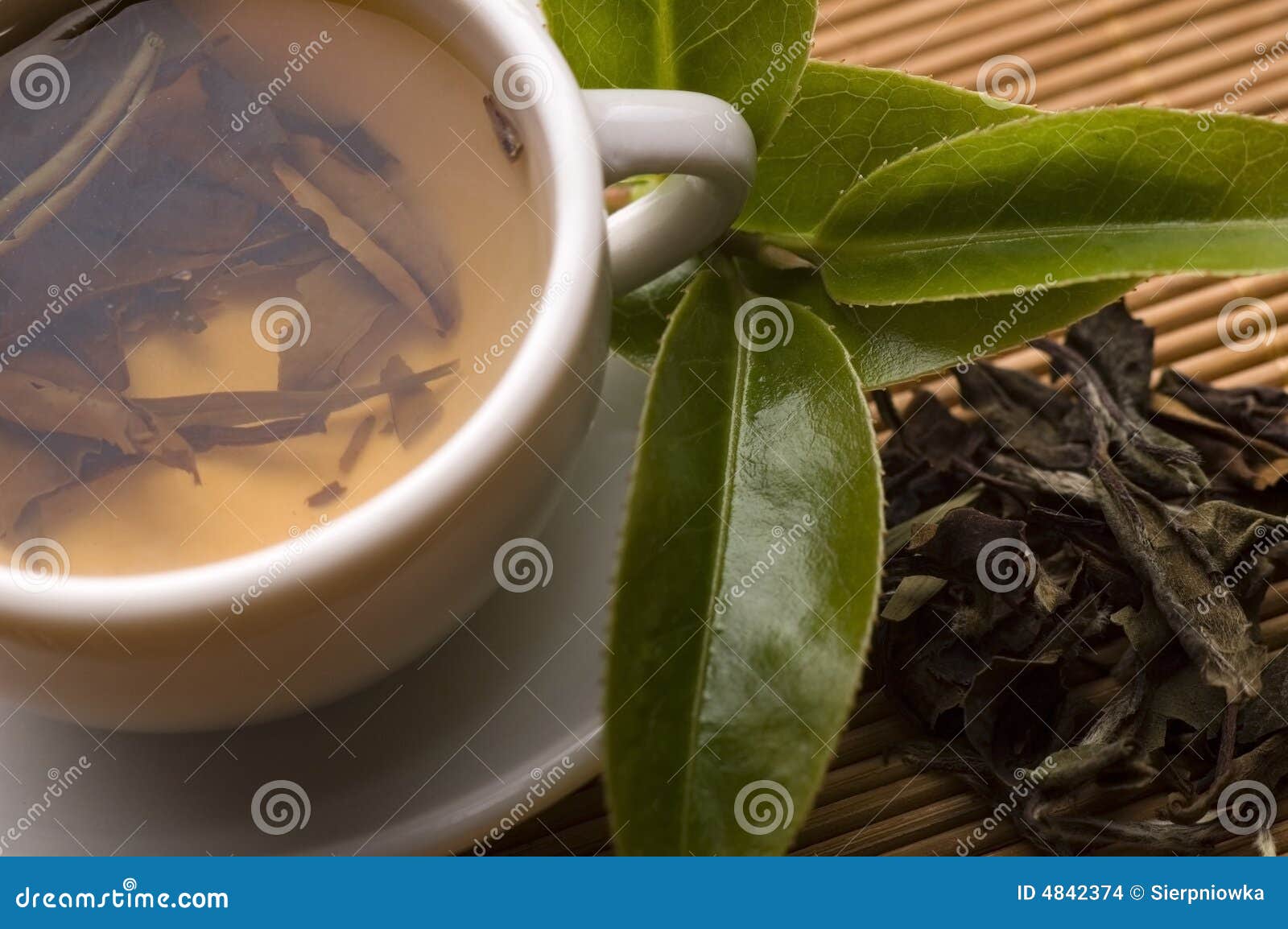 Green tea stock photo. Image of aromatic, aroma, gold - 4842374