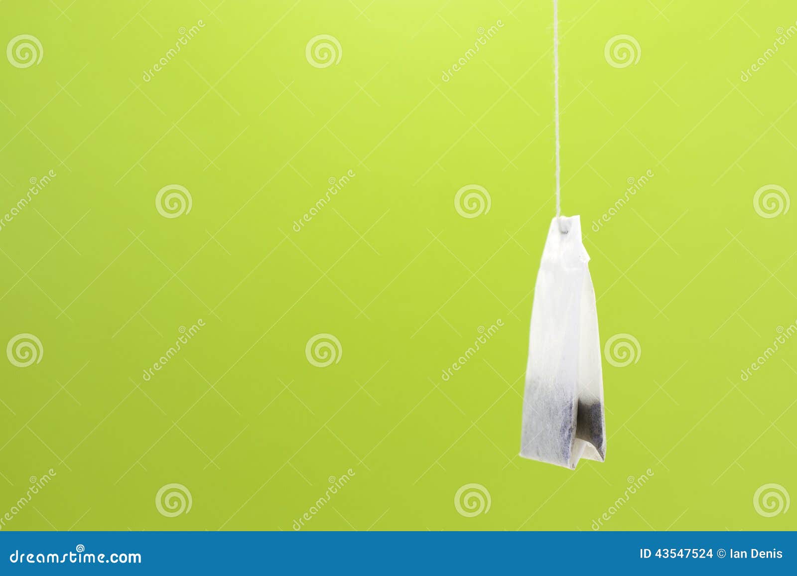 Green tea bag stock photo. Image of healthy, closeup - 43547524
