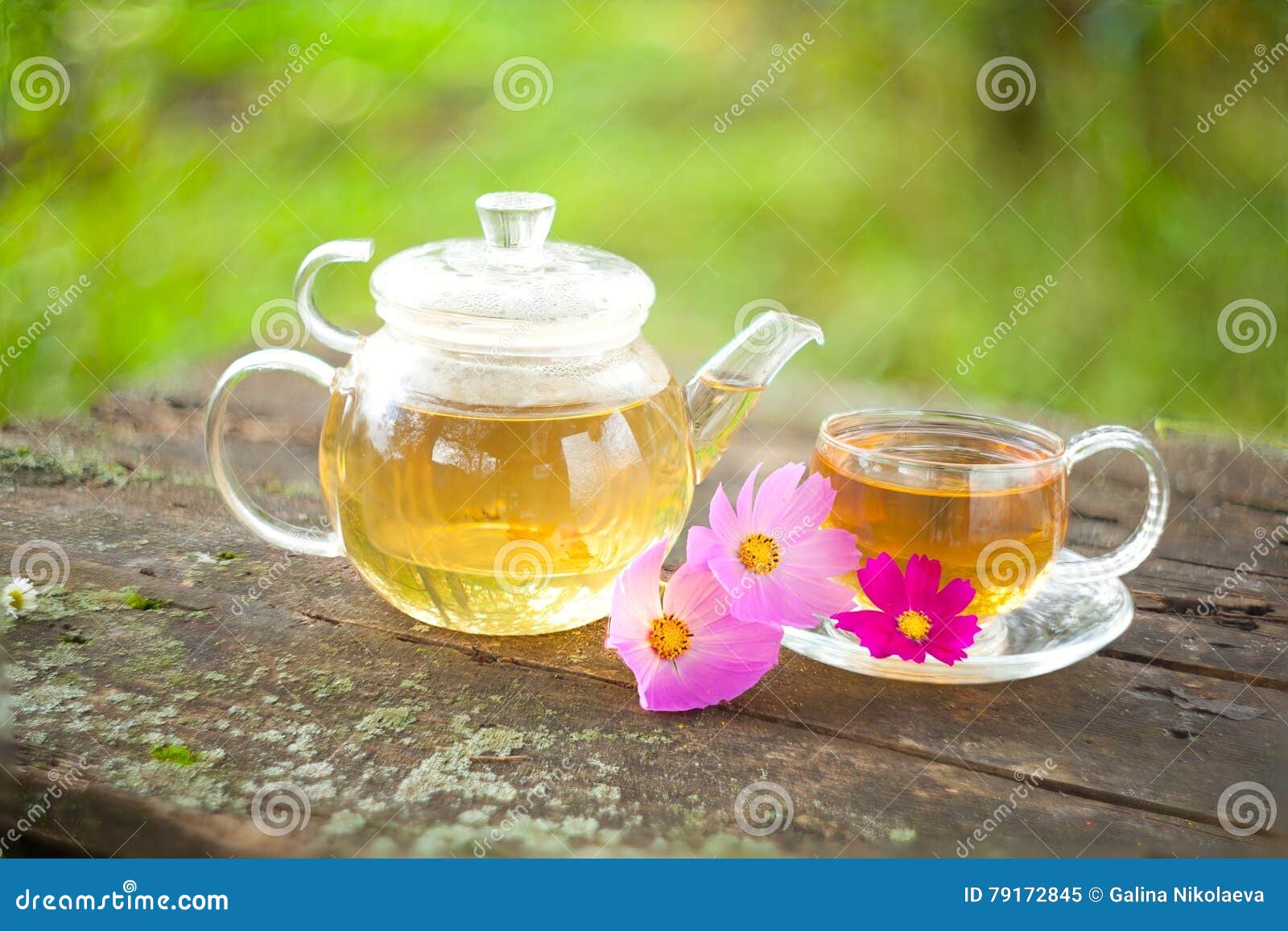 Green tea in beautiful cup stock image. Image of green - 79172845