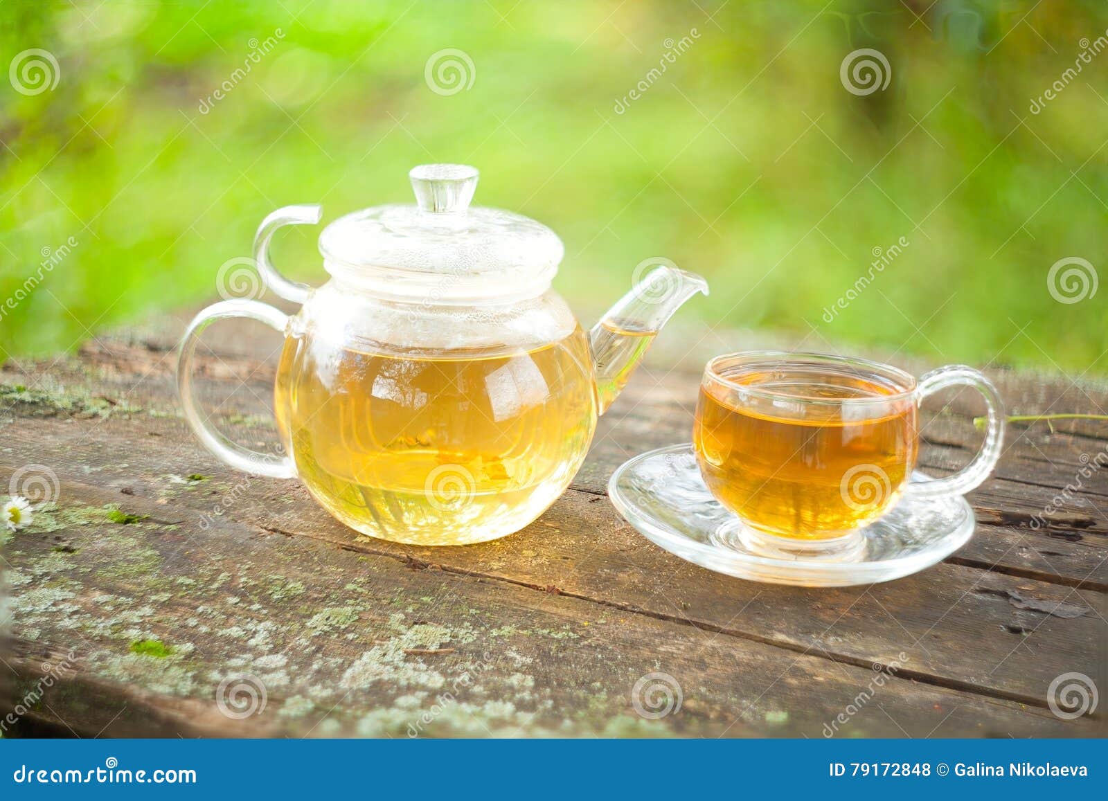 Green tea in beautiful cup stock photo. Image of marjoram - 79172848