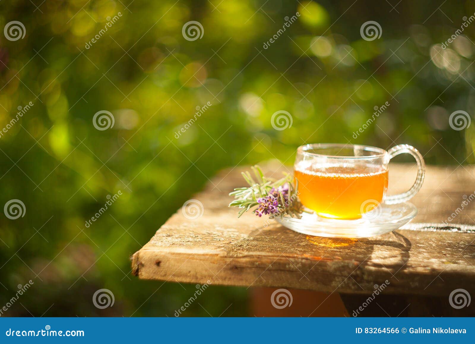 Green tea in beautiful cup stock photo. Image of liquids - 83264566