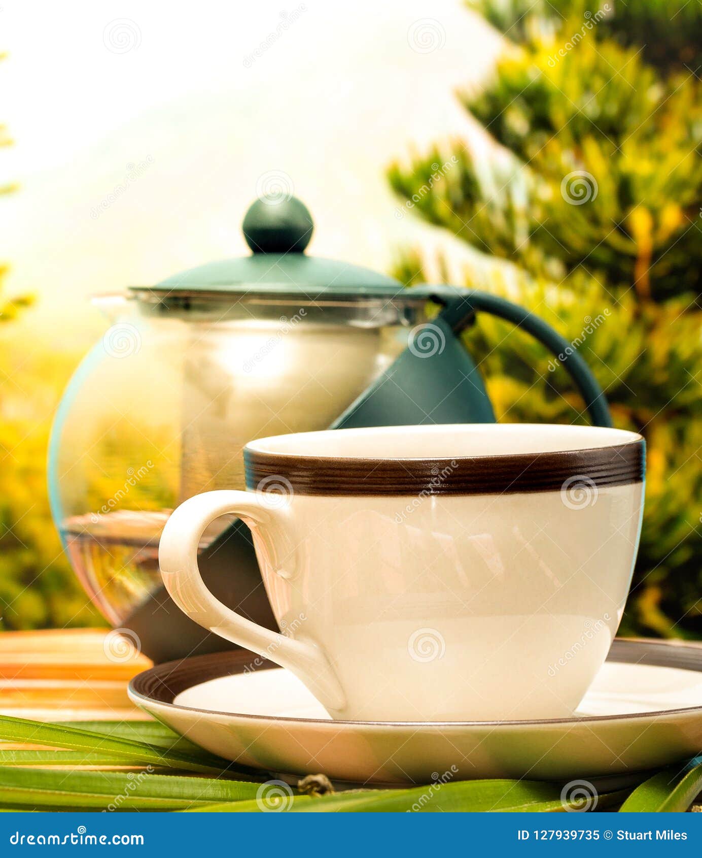 Green Tea Break Means Drink Refreshing and Cafeteria Stock Image ...