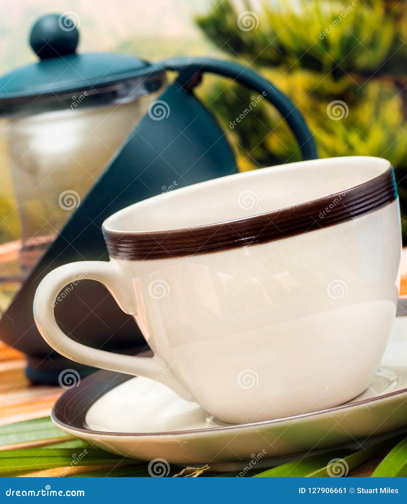 Green Tea Cup Means Refreshments Beverage and Drinks Stock Image ...